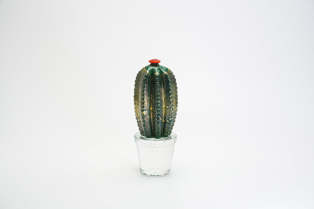 OBJECT 「CACTUS」ALTO VERDE – chisa